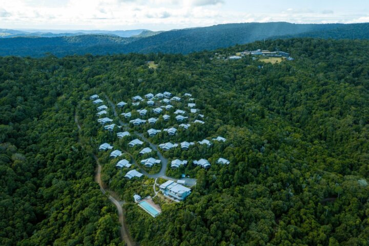O'Reilly's Tree Top Walk - Scenic Rim