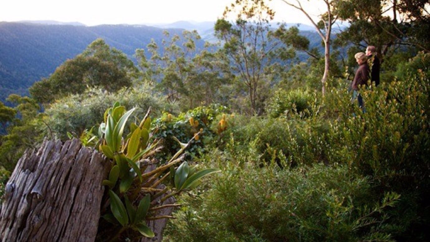 Binna Burra - Scenic Rim