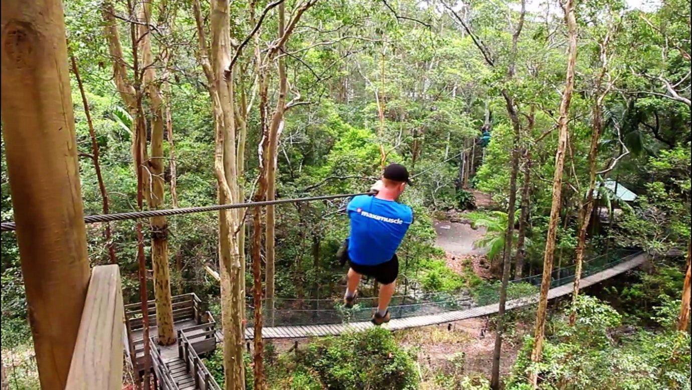 TreeTop Challenge - Mt Tamborine - Scenic Rim
