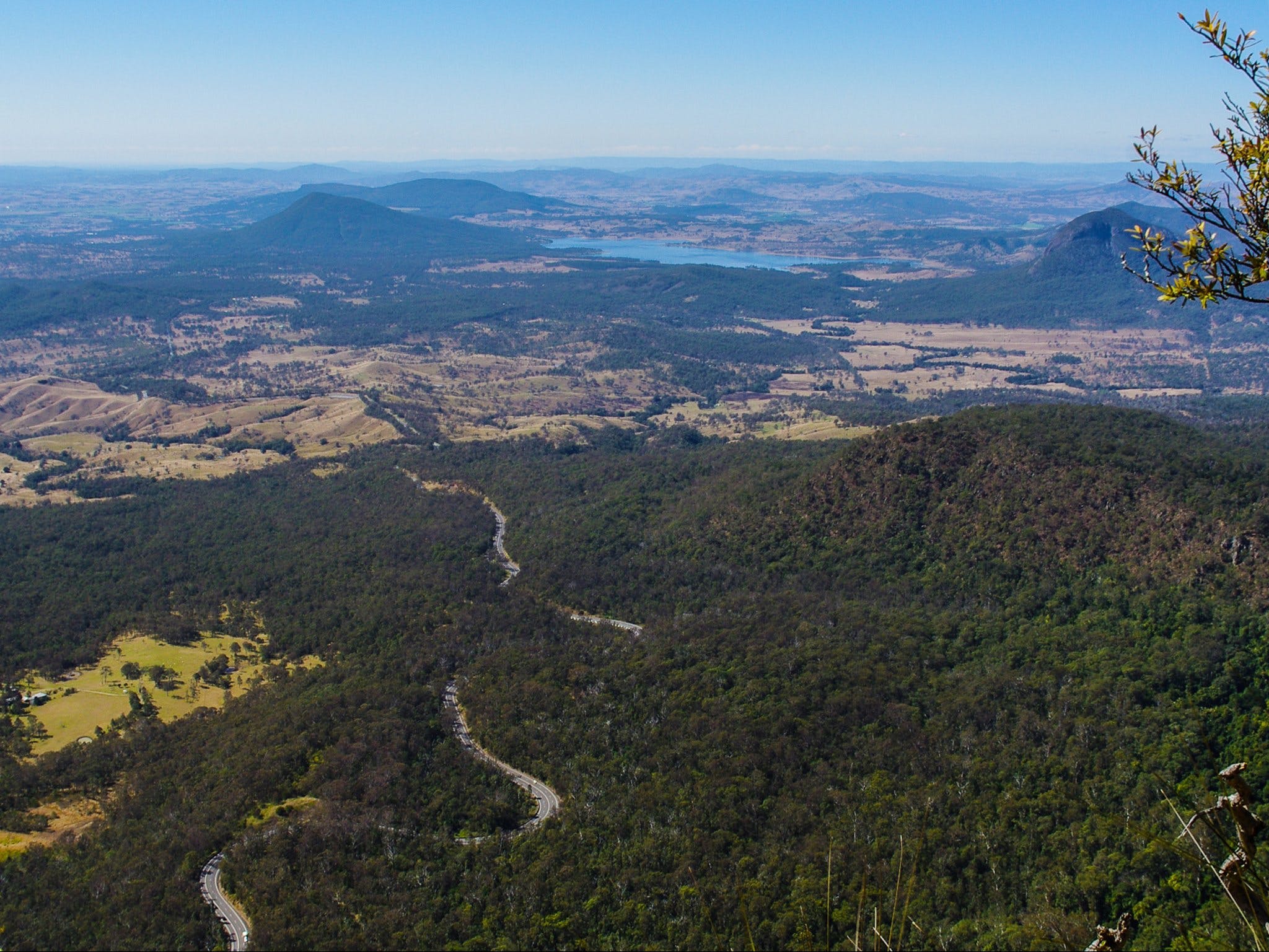 Mount Mitchell track, Main Range National Park - Scenic Rim