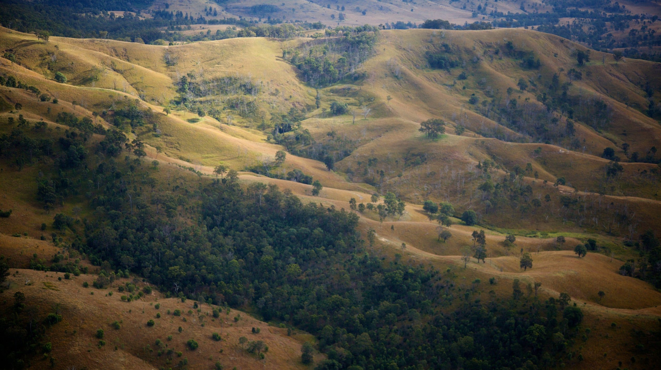 Harrisville Historical Society Museum - Scenic Rim