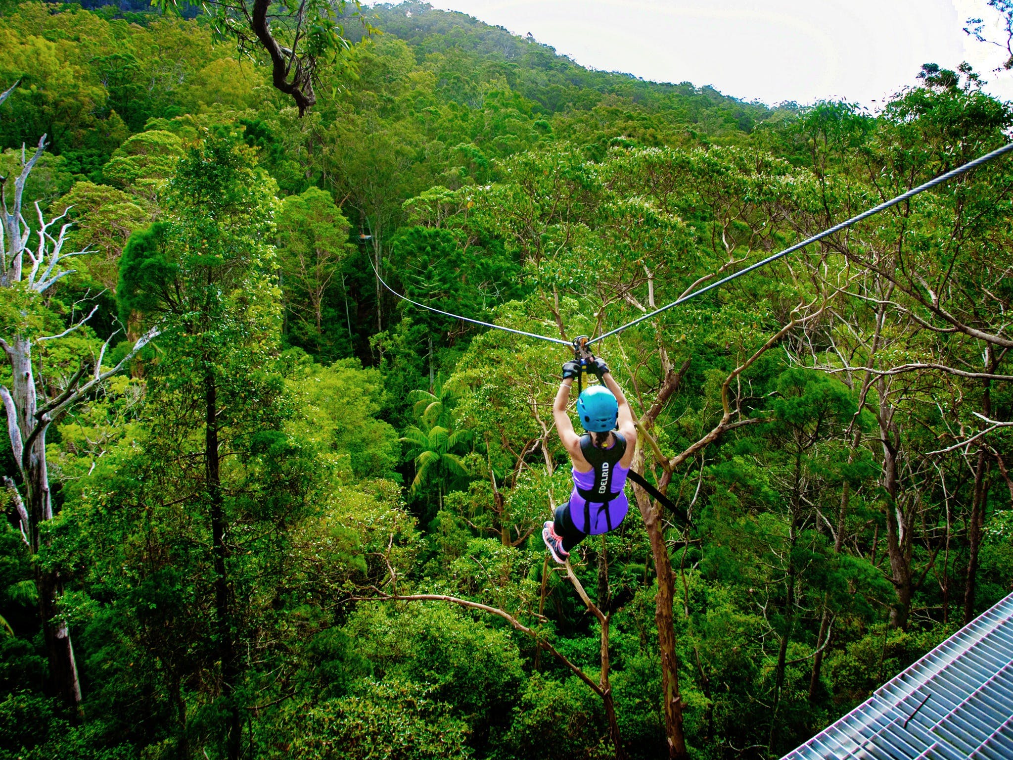 Canyon Flyer Zipline Tour, Australia's largest Zipline Tour - Scenic Rim