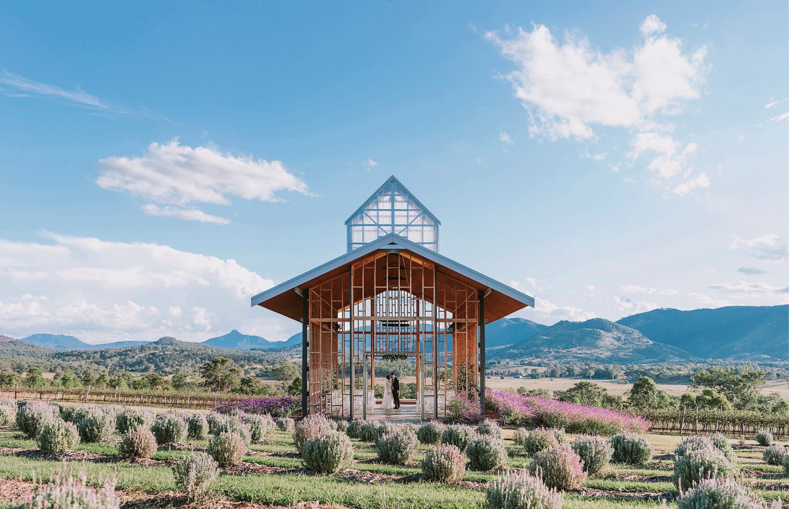 Kooroomba Vineyard and Lavender Farm - Scenic Rim