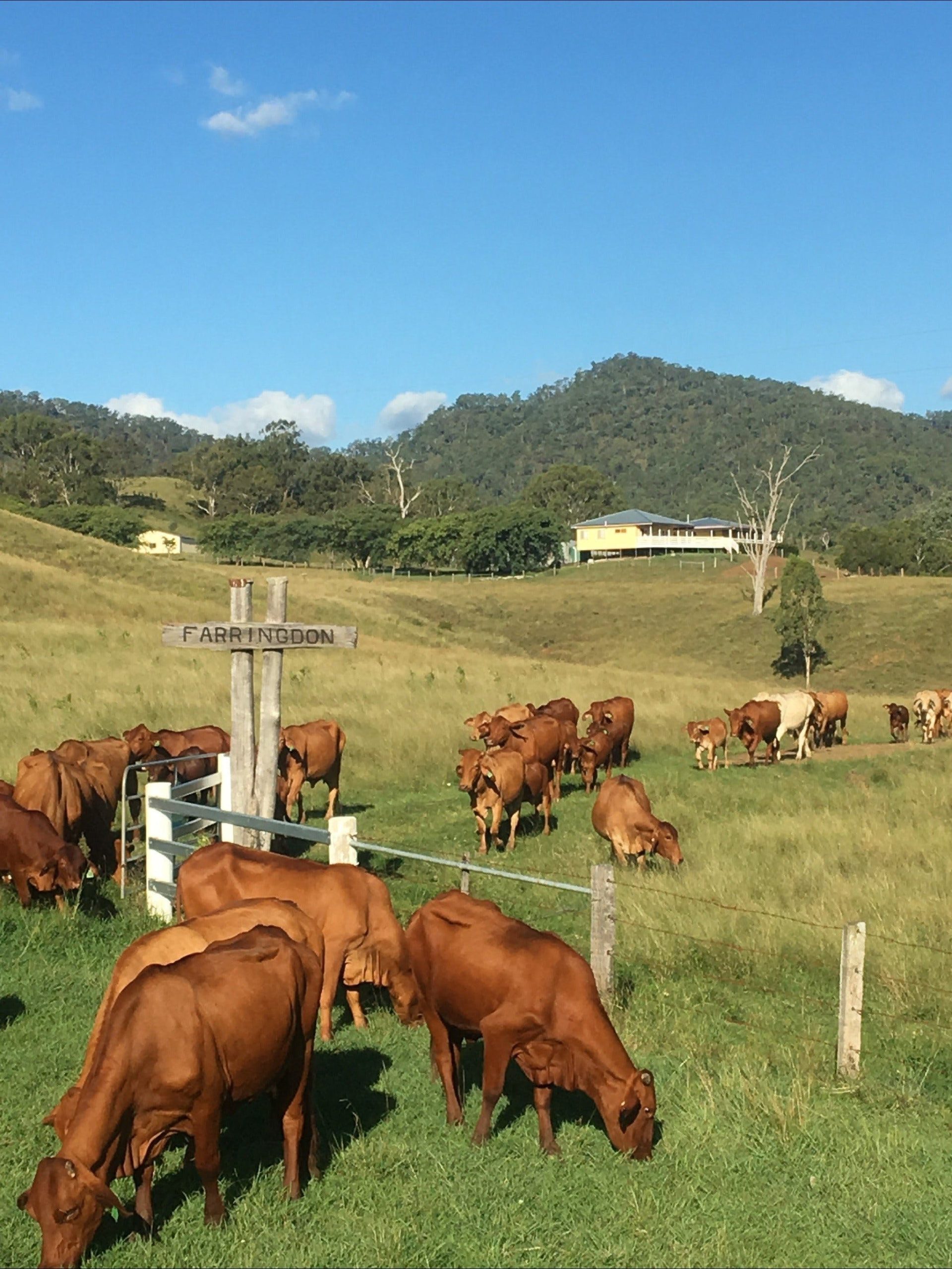 Farringdon Homestead - Scenic Rim