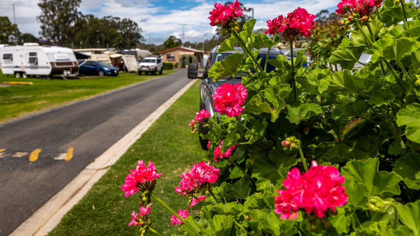 Beaudesert Caravan & Tourist Park - Scenic Rim