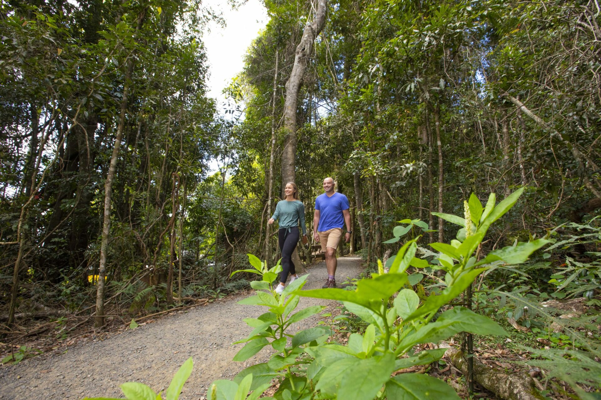Welcome to the Scenic Rim