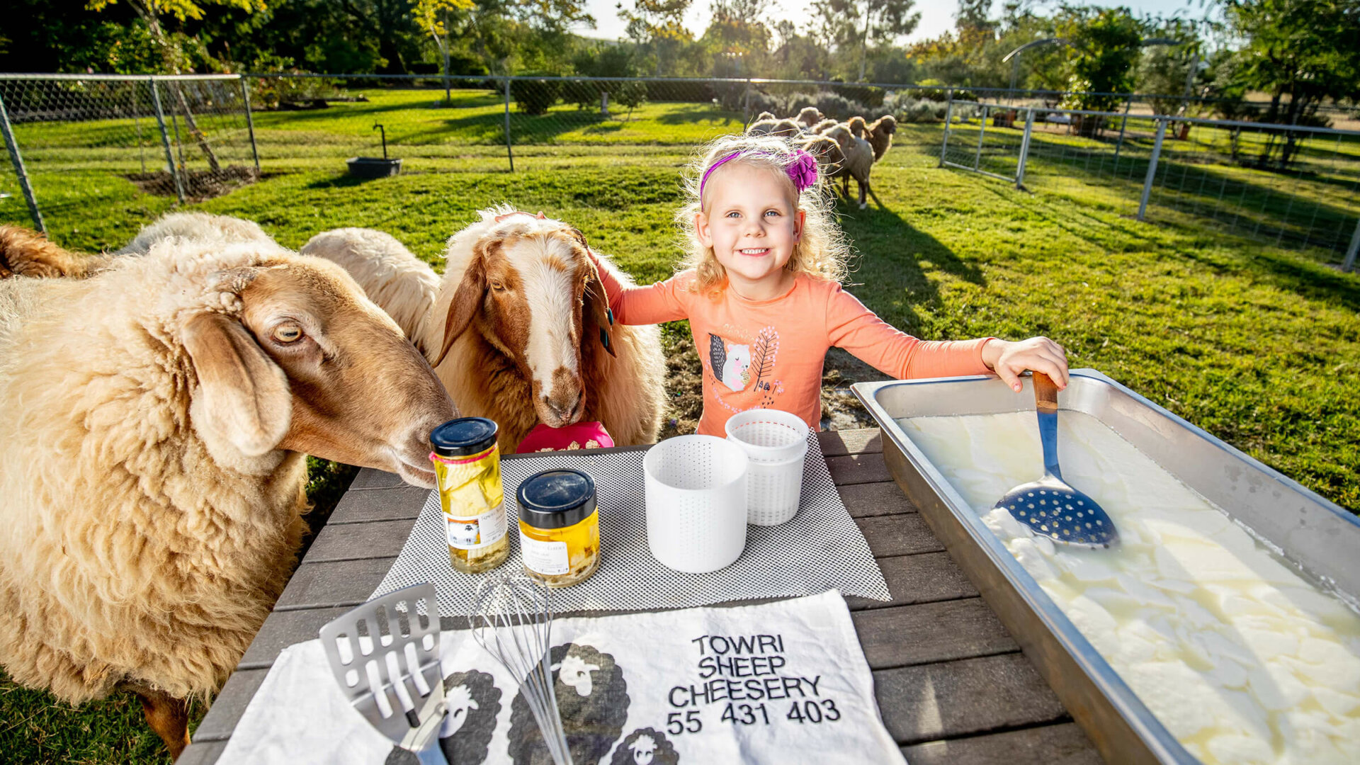 Kick-start your Scenic Rim visit in Beaudesert and Kooralbyn
