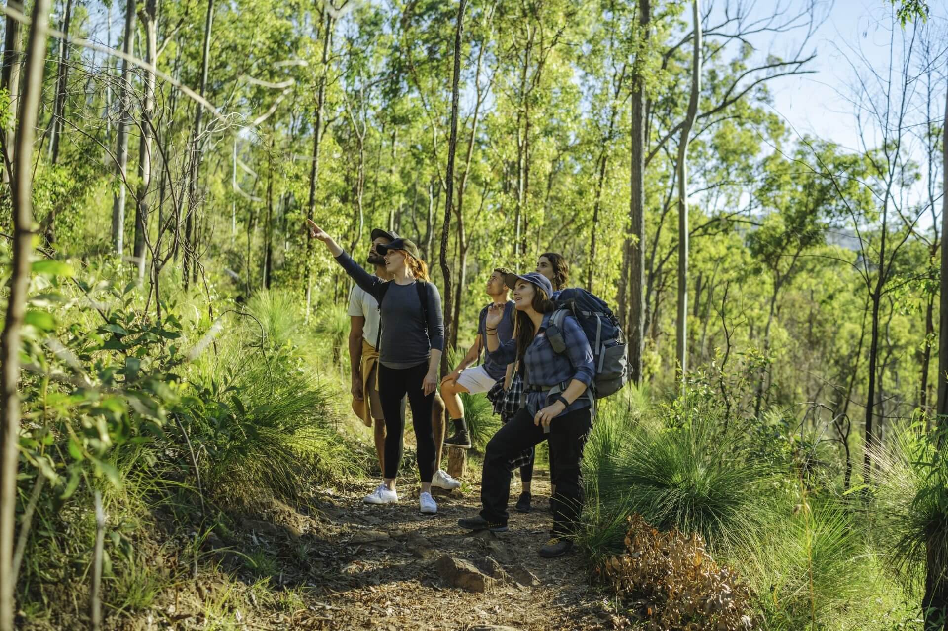 Welcome to the Scenic Rim