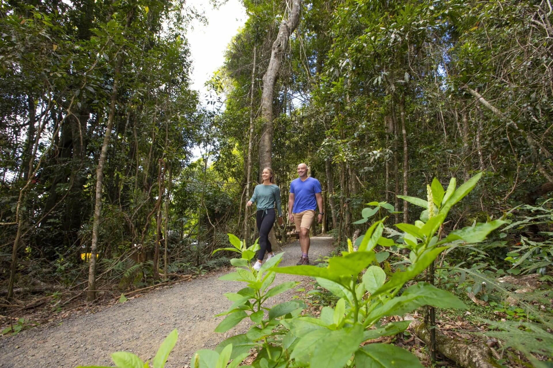 Welcome to the Scenic Rim