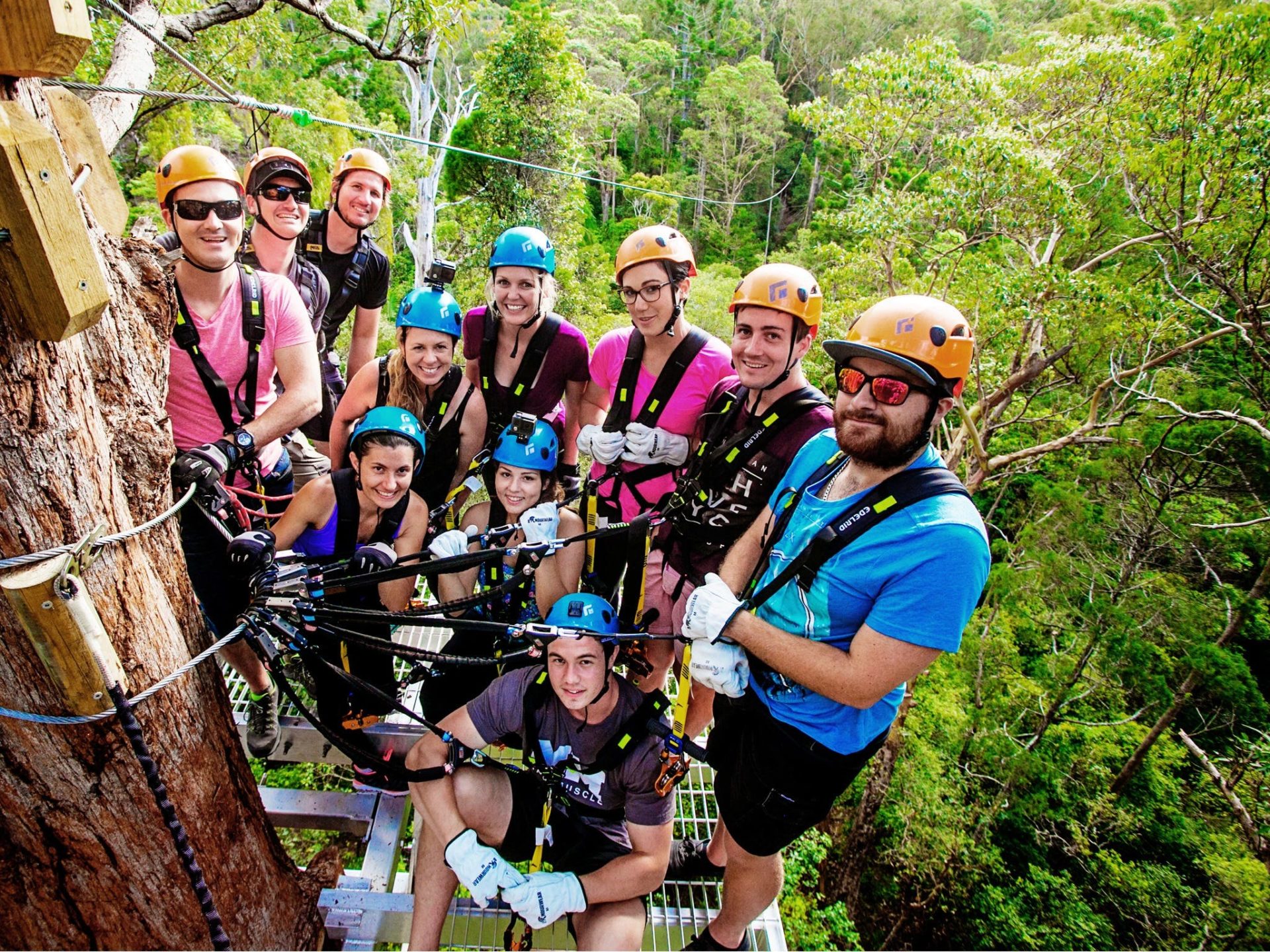 A visit to Tamborine Mountain is to enter another world