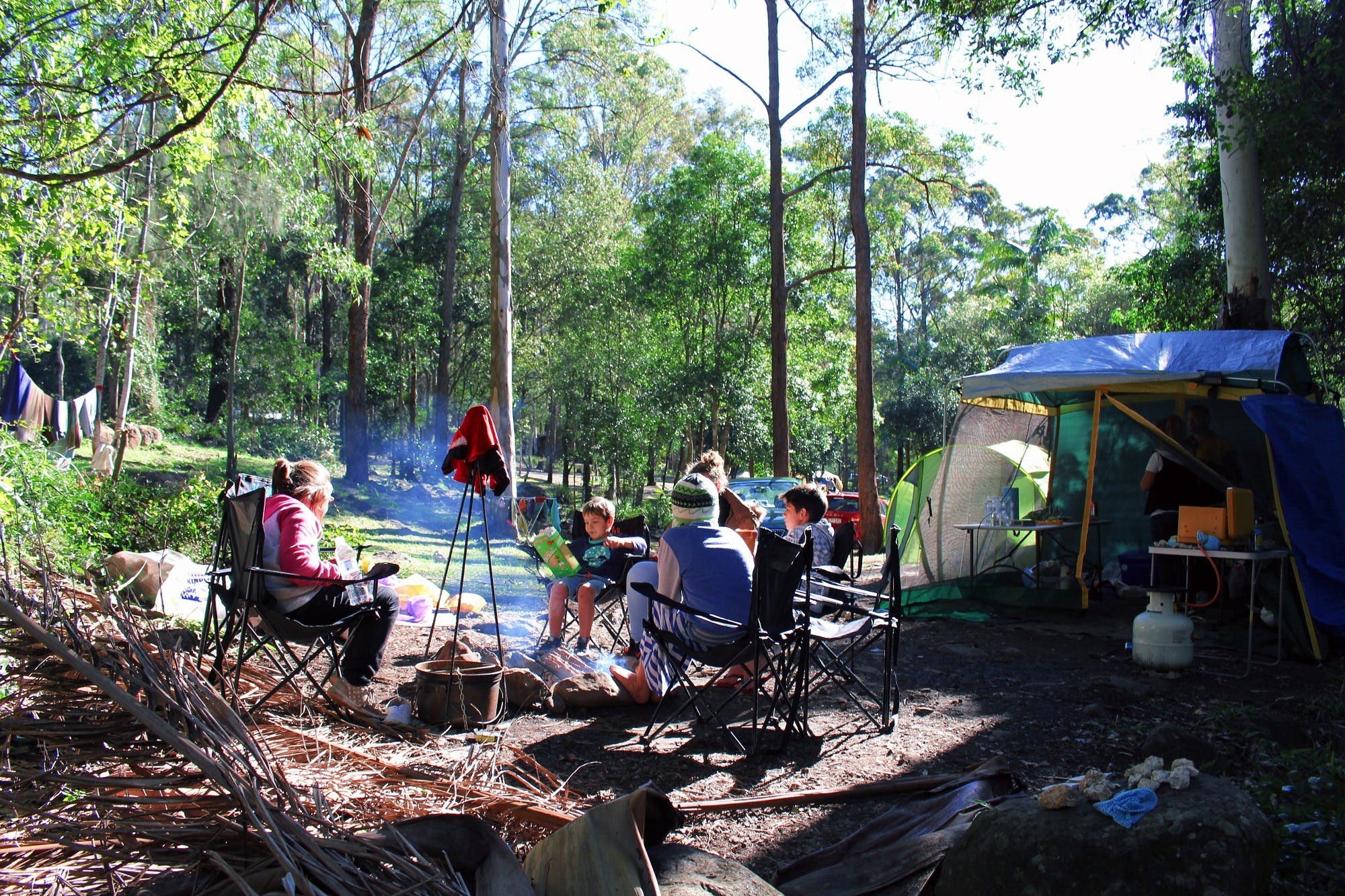 Tamborine Mountain - Scenic Rim