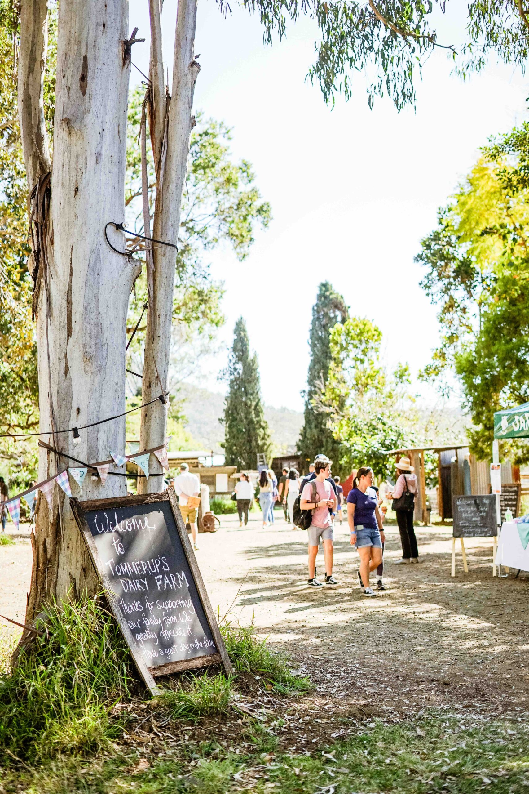 Farm Gate Trail - Scenic Rim