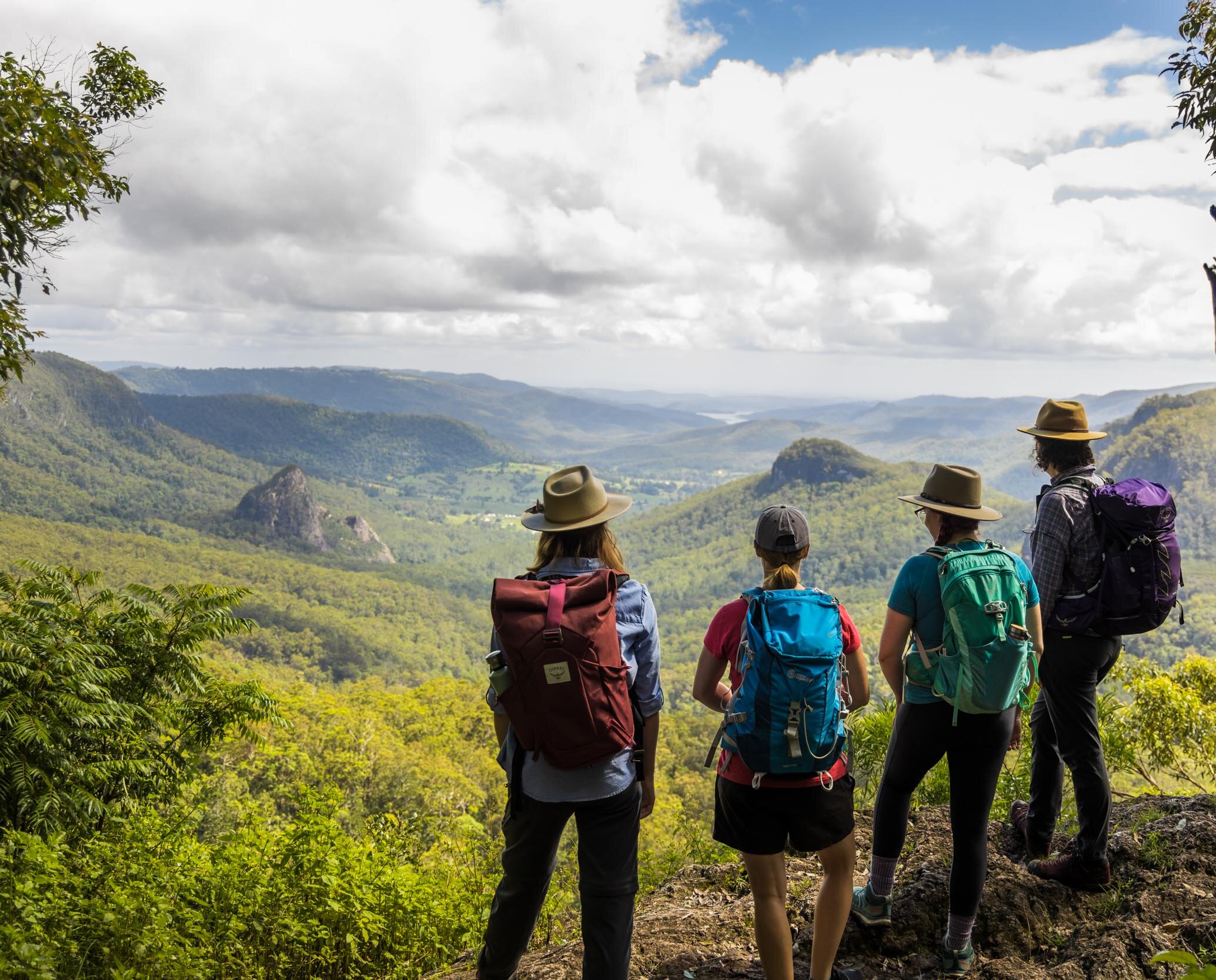 6 great walking experiences within the Scenic Rim