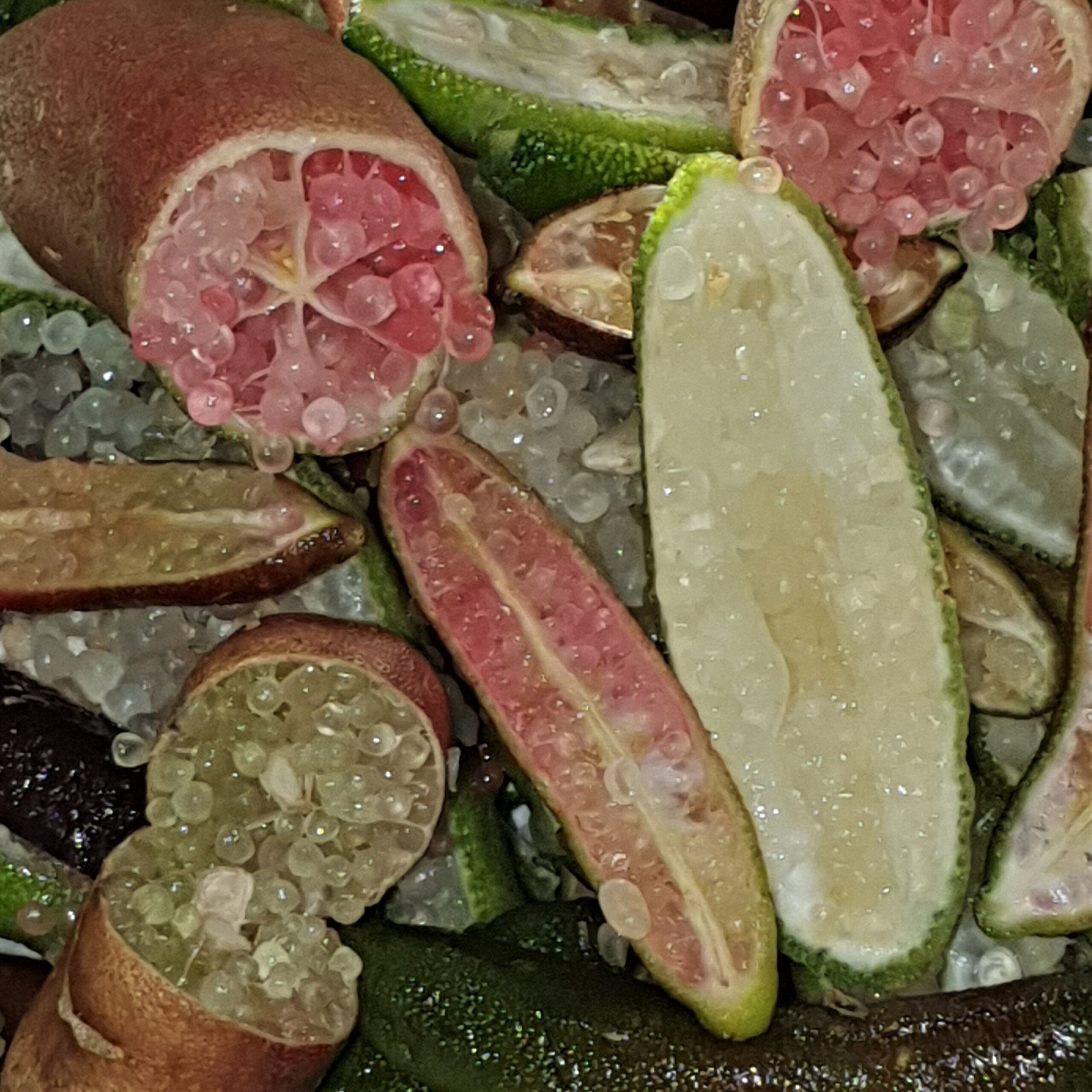 Canungra Creek Fingerlimes - Scenic Rim