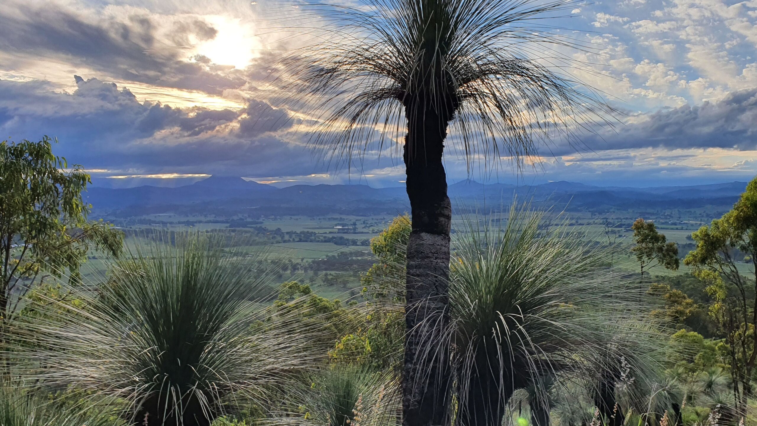 Larapinta - Scenic Rim