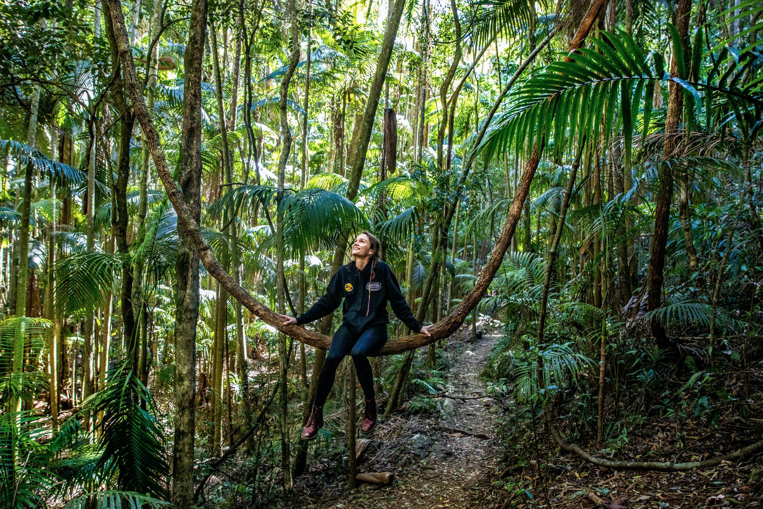 Tourism Tamborine Mountain - Scenic Rim