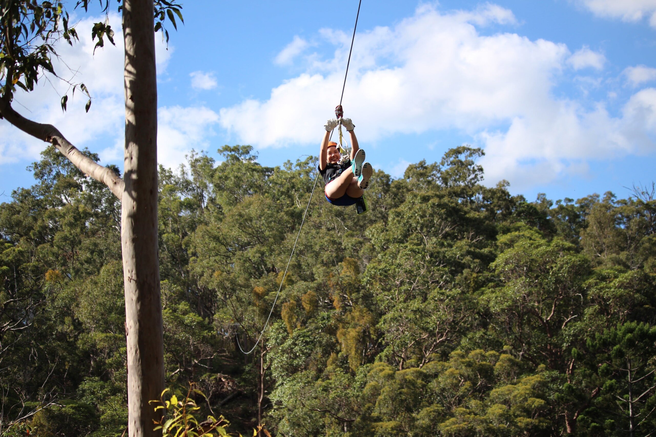 Cedar Creek Lodges at Thunderbird Park - Scenic Rim