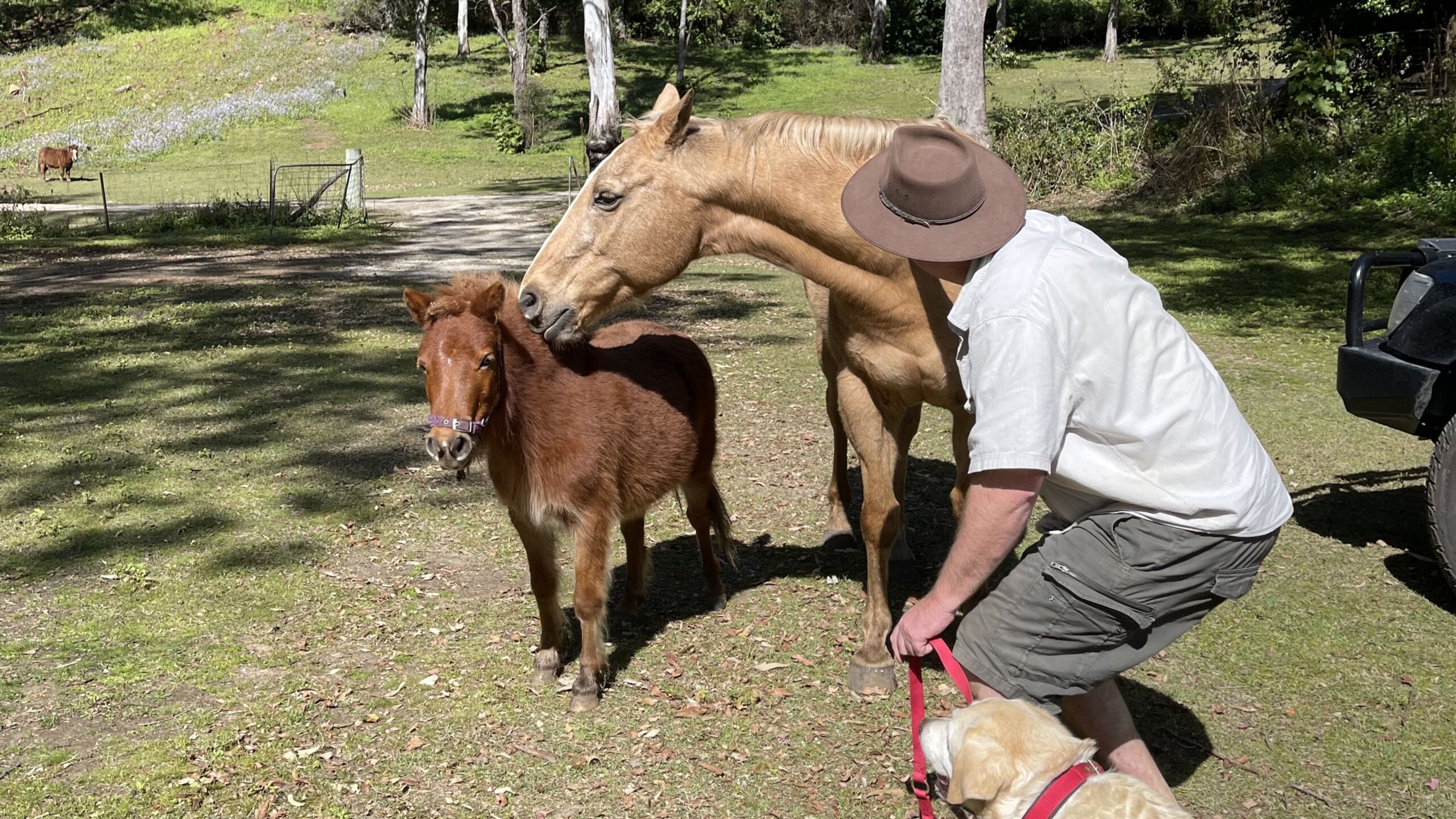 Camp Canungra - Scenic Rim