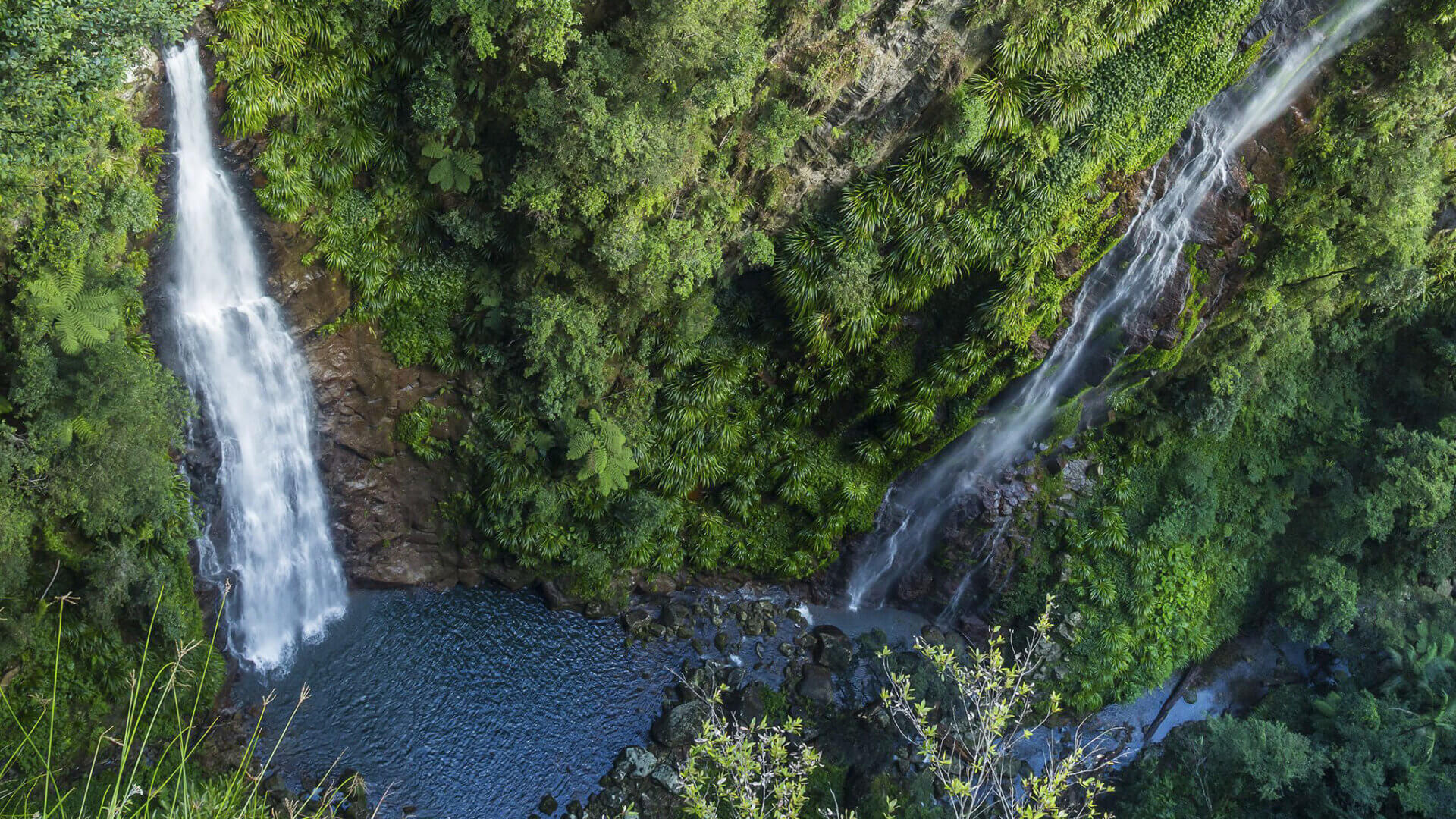 Your guide to chasing waterfalls within the Scenic Rim