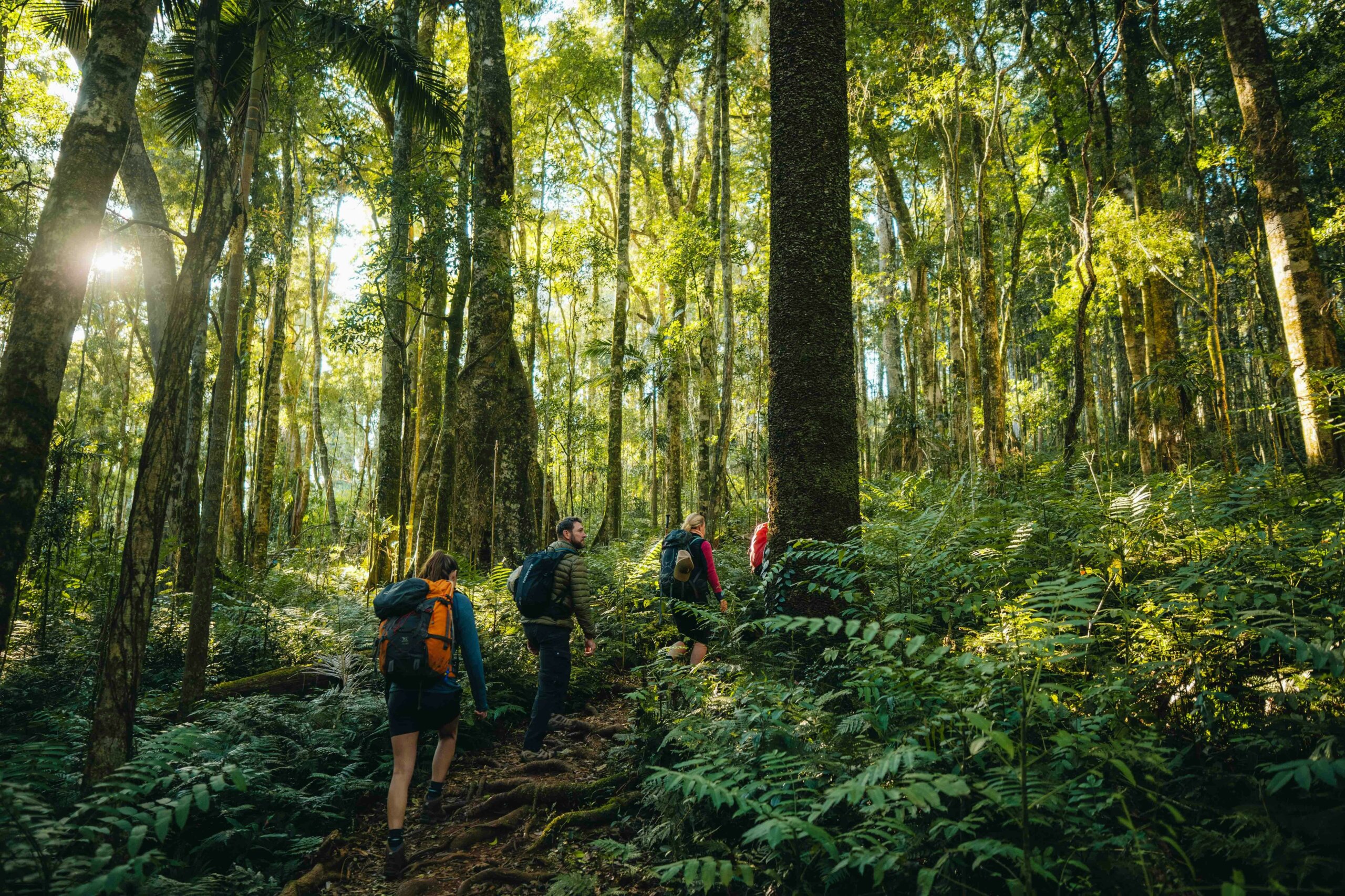 Visit Boonah for country adventure and destination dining