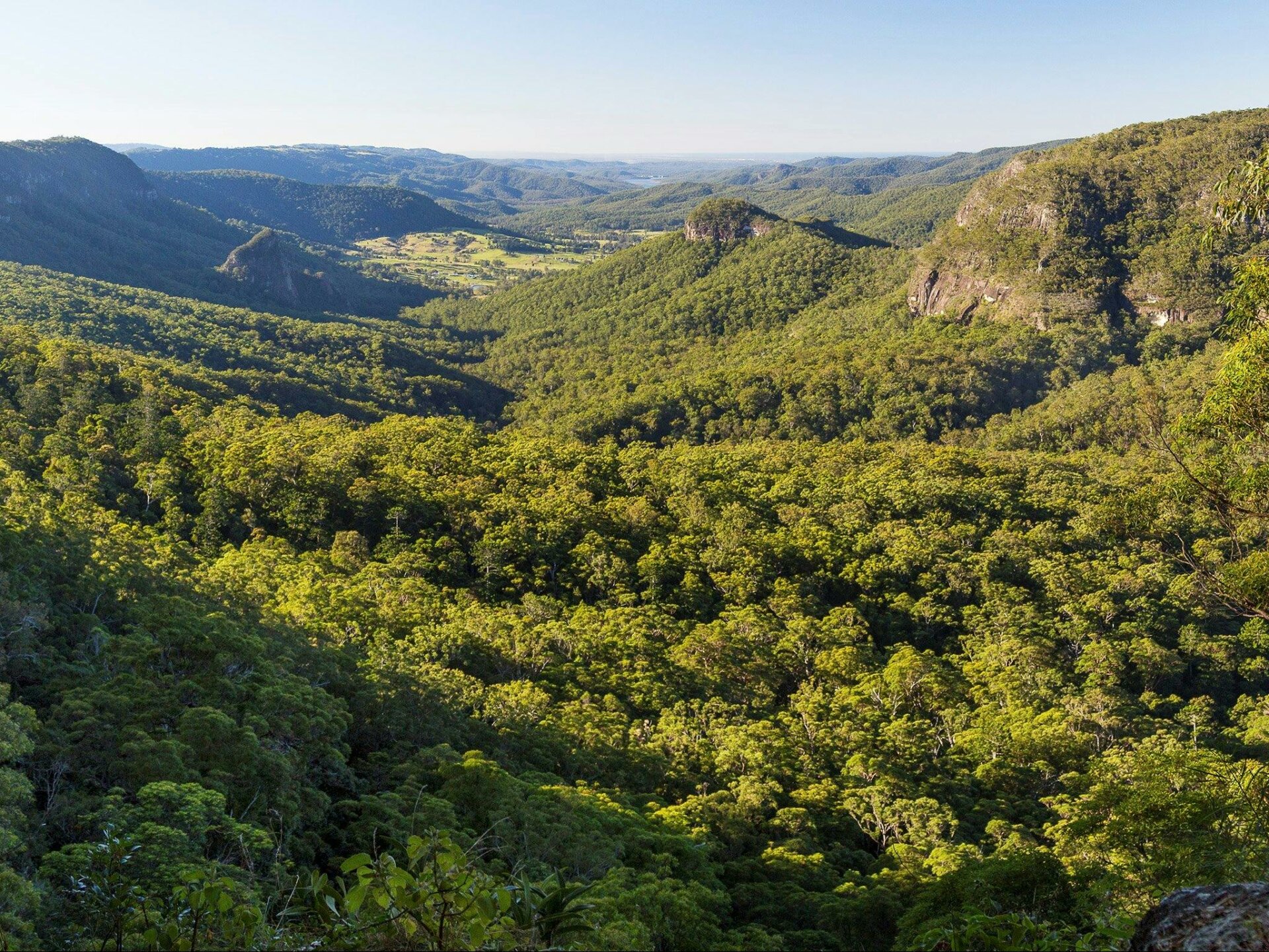 Your green getaway within the Scenic Rim: Where to stay, play & eat ...