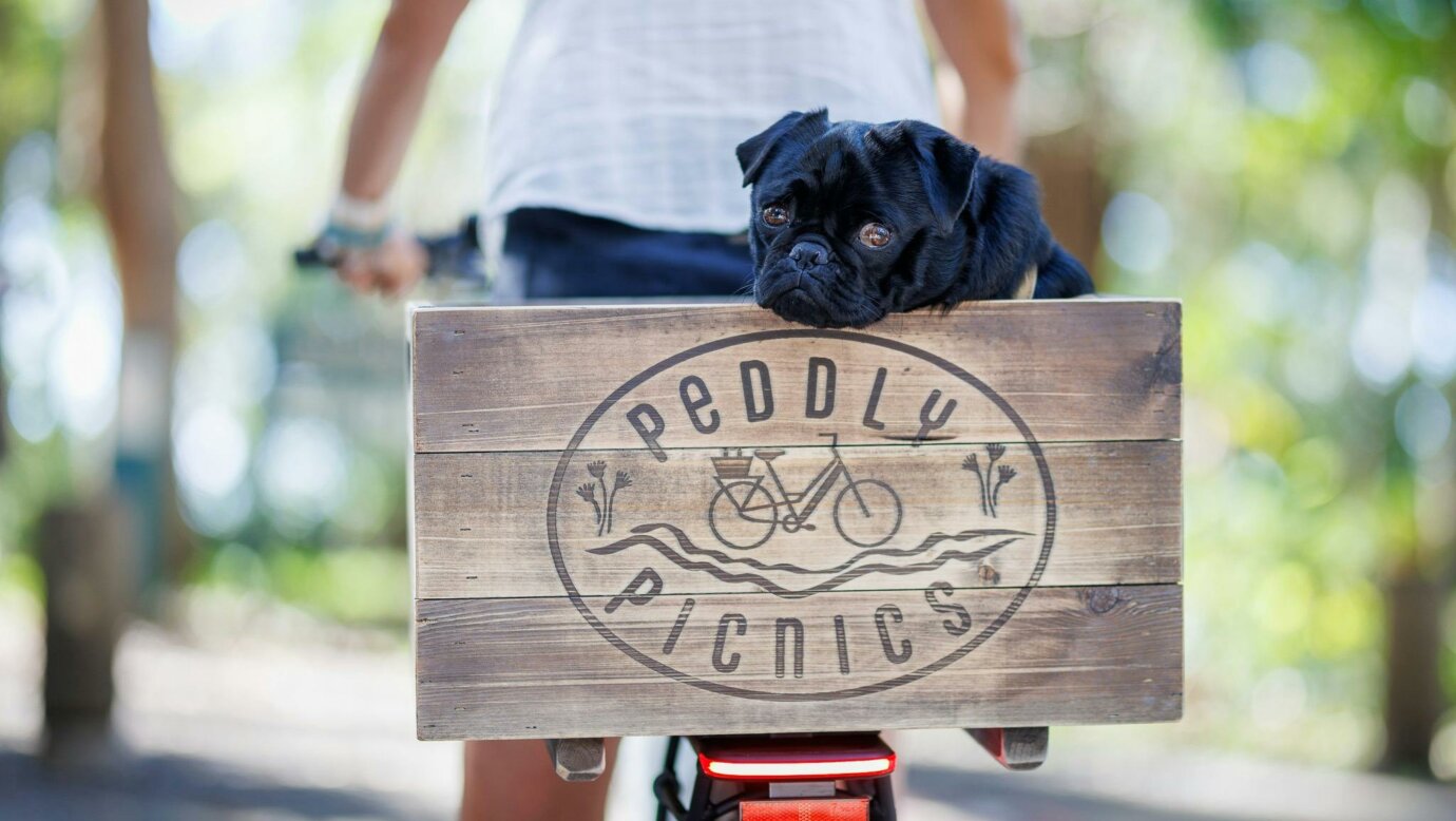 Peddly Picnics - Scenic Rim