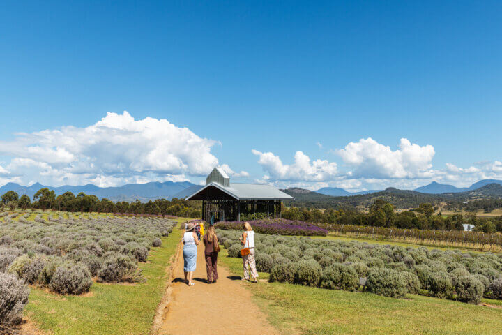 A first-timer’s guide to Boonah within the Scenic Rim