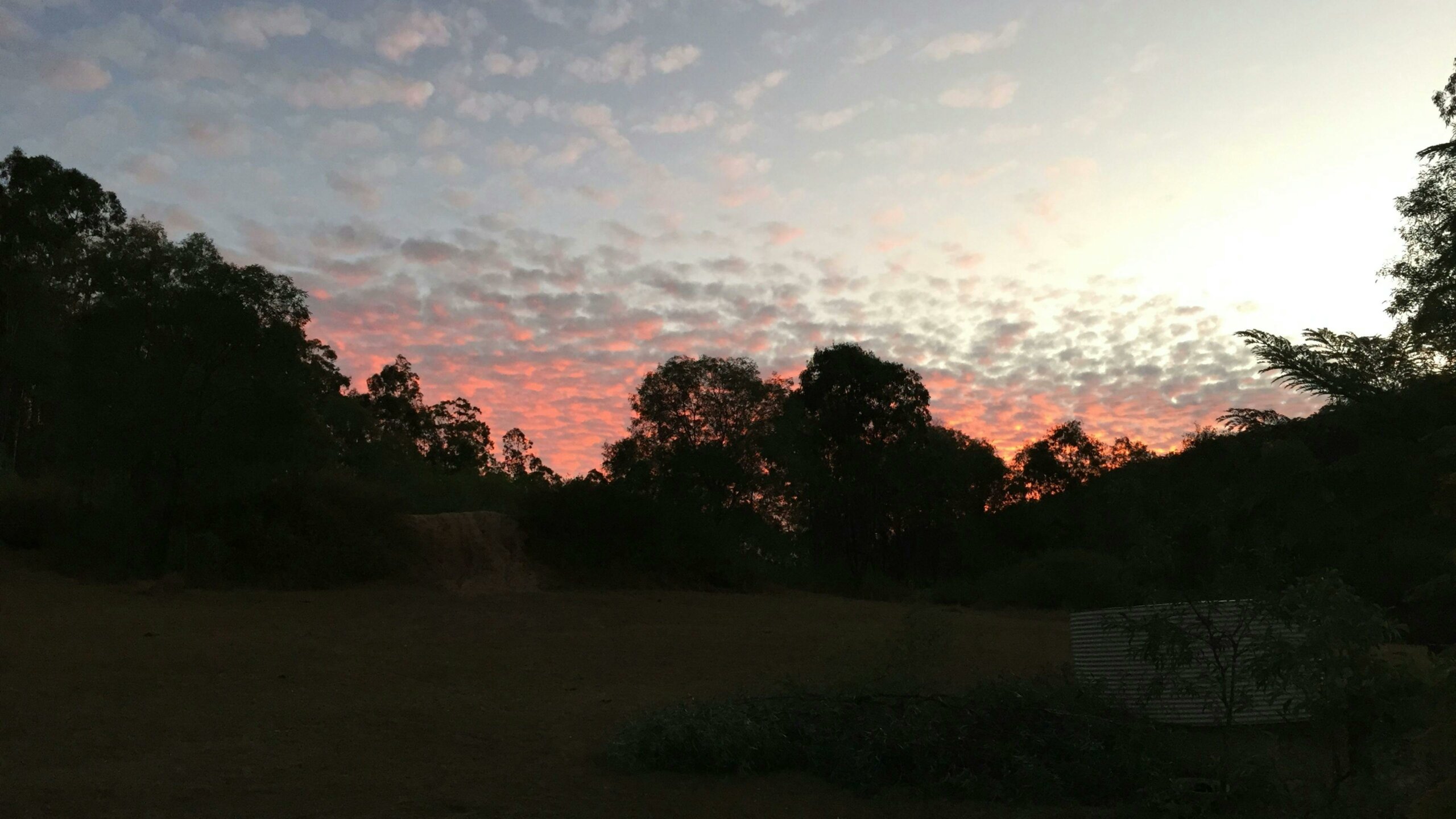 Undullah Campground - Scenic Rim